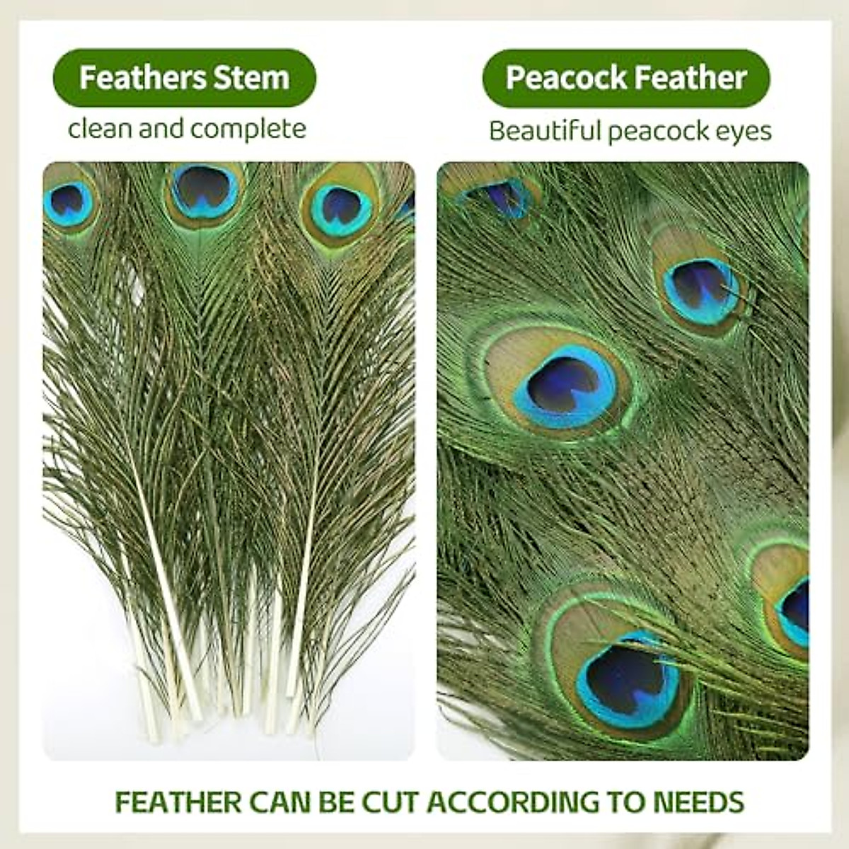 iHUFeather 10PCS Real Natural Peacock Eye Feathers 10-12 inch for DIY Craft Floral Arrangements,Wedding,Home and Party Decorations Feathers,Natural