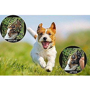 VALFRID Dog Paw Protector Anti-Slip Grips to Keeps Dogs from Slipping On Hardwood Floors,Disposable Self Adhesive Resistant Dog Shoes Booties Socks Replacemen XXL 24 Pieces