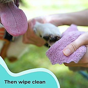 GENTLE CREATURES Magic Foam - Sulfate-Free, Waterless Shampoo Paw Cleaner for Dogs, Cats, Pets - Dry Shampoo, Foot Cleaner Brush - with Orange, Odor Control Wash - Good for Puppy, Sensitive Skin