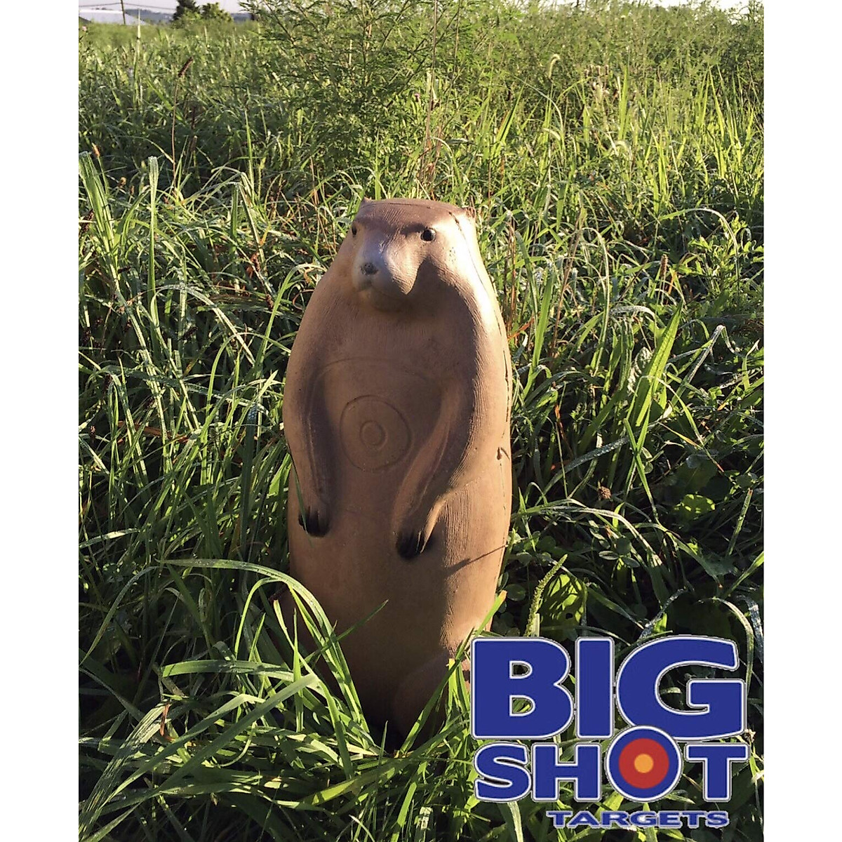 Real Wild 3D Ground Hog Archery Target