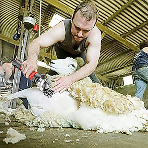 Sheep Shears,500w Professional Sheep Shearing Clippers, Pet Farm Supplies for Shaving Fur Wool in Sheep, Goats, Cattle, Farm Livestock Pet
