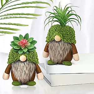 Succulent Gnomes Spring Green Plants Gnomes Swedish Plush Tiered Tray Decoration Tomte Doll Decor Cacti Nordic Dwarf Spring Summer Home Stuffed Gnomes Collection Garden Gift for Her Him Plant Lover