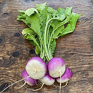 Purple Top Turnip Seeds for Planting, 1000+ Heirloom Seeds Per Packet, (Isla's Garden Seeds), Non GMO Seeds, Botanical Name: Brassica rapa subsp. rapa, Great Home Garden Gift
