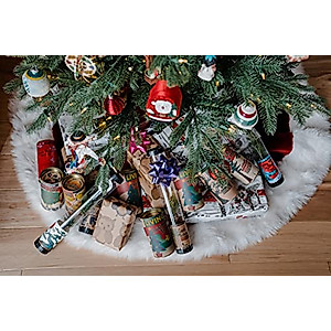 The Jonsteen Company Living Christmas Tree | Seed Grow Kit