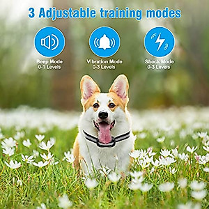 COVONO GPS Wireless Dog Fence, 2023 Upgraded Electric Pet Containment System, Waterproof and Rechargeable Collar, Tone/Vibration/Shock Correction, Black