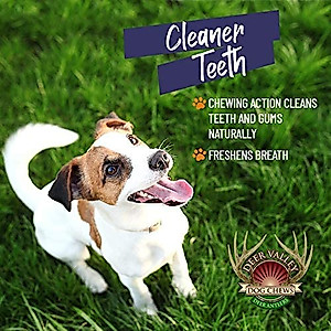 Deer Valley Dog Chews (Small 5-7 Inches, 6 Pack) Premium Deer Antler for Small Dogs - Long Lasting Dog Bone for Teething and Chewing - Organic, Odorless, Naturally Shed, USA