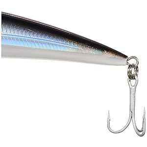 Rapala X-Rap Saltwater Fishing Lure (Silver, 4.75-Inch), 12
