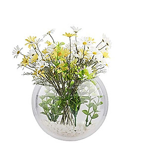 ACJRYO Wall Hanging Fish Tank, 2 pcs Wall Mounted Bubble Fish Tank Transparency Fish Bowls Acrylic Hanging Aquarium Wall-Mounted Plant Pot Fish Tank for Succulent Plants, Air Plant