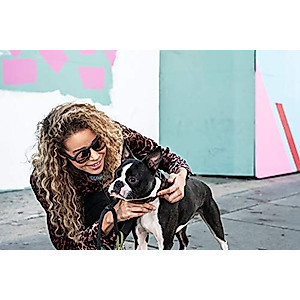 Bose Frames, Audio Sunglasses with Open Ear Headphones, Rondo, Black with Bluetooth Connectivity, Regular