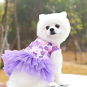 HonpraD Large Female Dog Clothes Cat Dress Lace Skirt Pet Puppy Dog Princess Costume Apparel Clothes