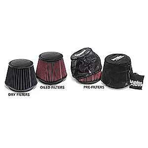 Banks 42145-D Air Intake System