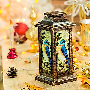 Topadorn Hanging Solar Lantern Waterproof Portable Lamp Outdoor Garden Decorative LED Light, Blue Bird, 10"H