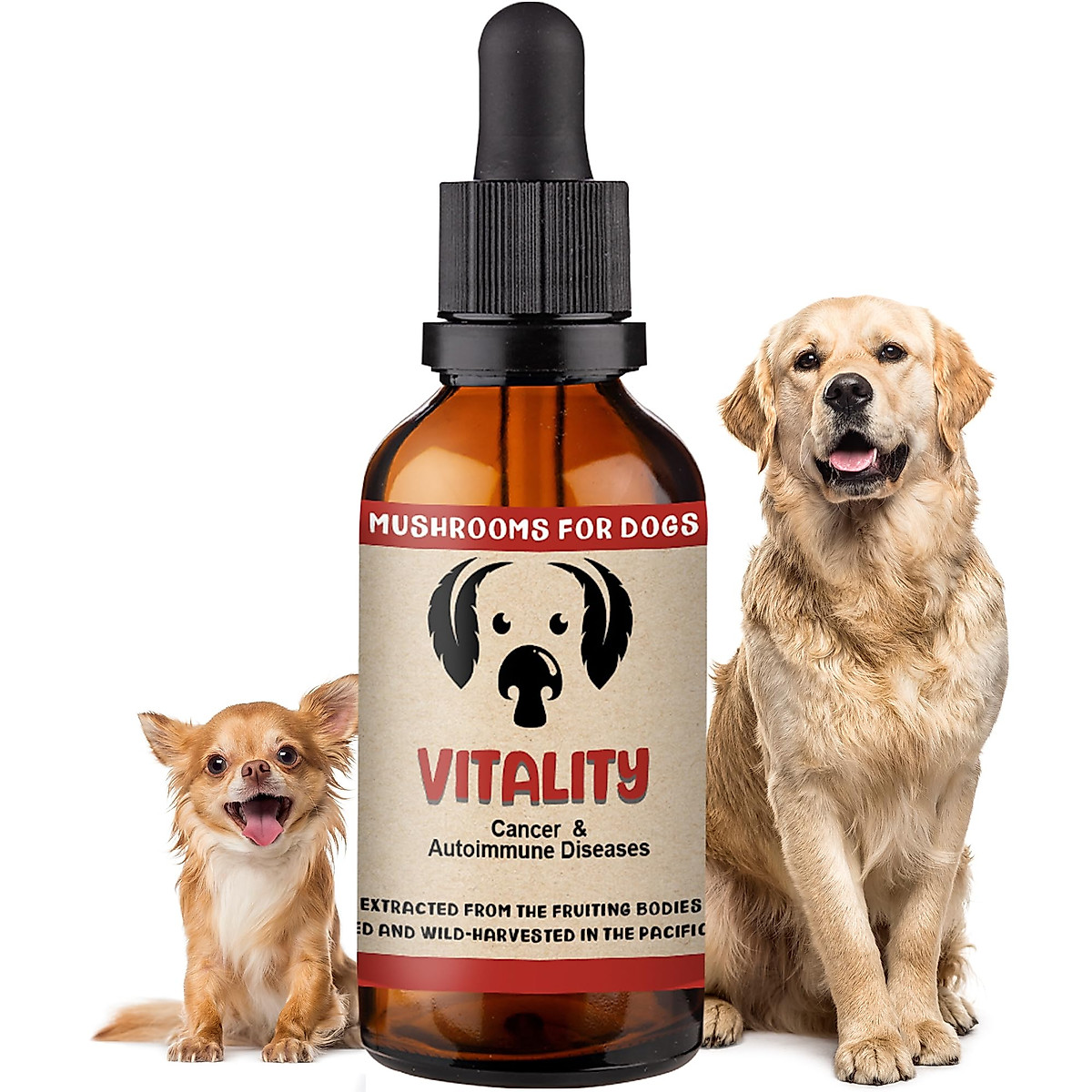 MycoDog Vitality Mushroom Extract & Adaptogen Tincture - Mushroom & Ashwagandha Supplements for Dogs with Debilitating Conditions - Turkey Tail, Chaga, Maitake, Reishi Mushroom, & Shiitake Mushrooms