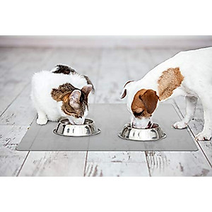 Large Silicone Mat for Art & Crafts Jewelry Casting Molds, Epoxy Resin, Glitter Slime, Paints - Multipurpose Silicon Kitchen Table, Floor & Countertop Mat – Non Stick & Non Slip- 27.5” x 19.5” (Clear)