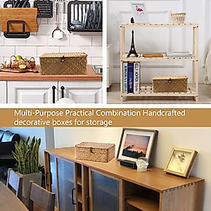 Shelf Baskets Rattan Storage Basket with Lid Handwoven Seagrass Basket Multipurpose Organizer for Snack Toys Rectangular Household Basket for Shelf Wardrobe 23x13x8cm