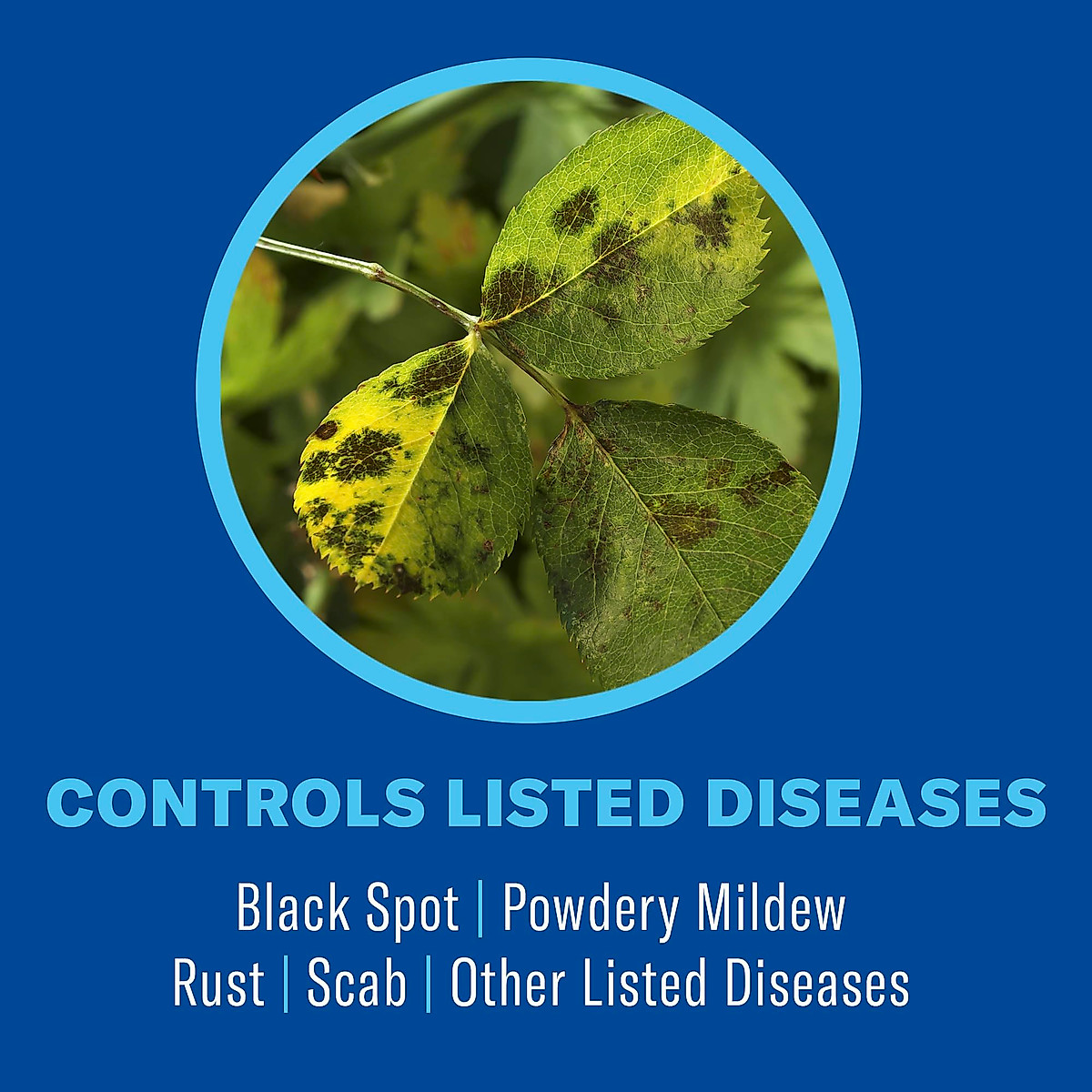 BioAdvanced All-in-One Rose & Flower Plant Care, Ready-to-Use, 24 oz