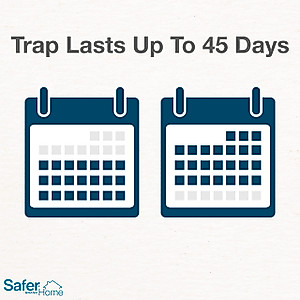 Safer Brand Home SH500 Indoor Fruit Fly Trap – Ready-to-Use, Non-Staining, No synthetic Insecticides