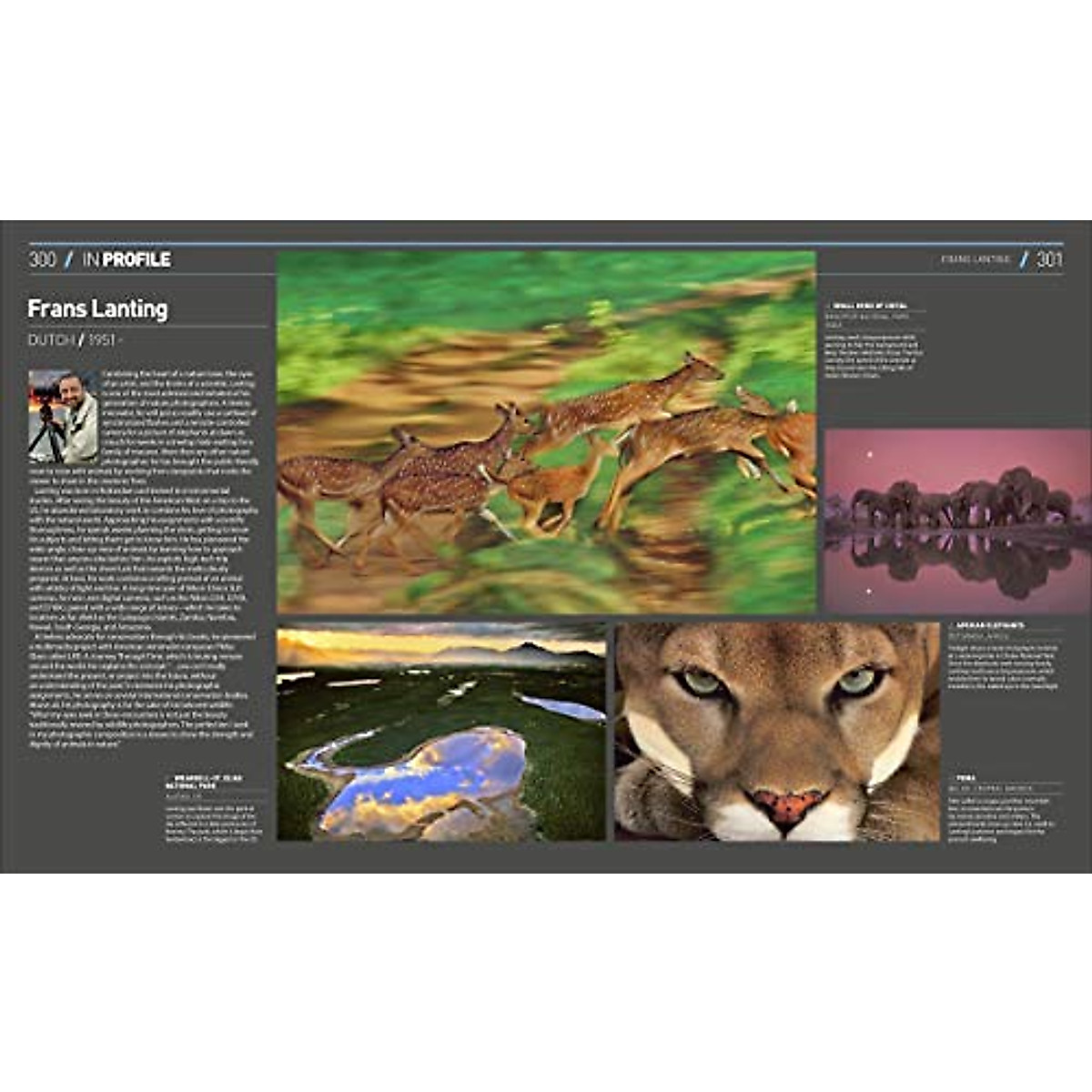 Photography: The Definitive Visual History (DK Definitive Cultural Histories)