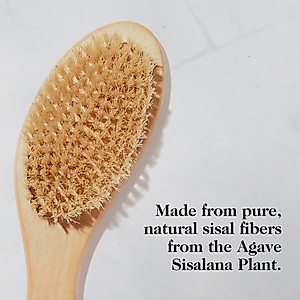 goop Beauty Dry Brush | Exfoliating & Detoxifying for Dry Skin | Wooden Brush with Natural Biodegradable Sisal Fibers | Sweeps Away Dead Skin Cells for Luminous, Smooth Skin | FSC-Certified