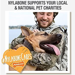 Nylabone Power Chew Flavor Frenzy Ring Chew Toy for Dogs, Indestructible Chew Toys for Aggressive Chewers, Bacon Cheeseburger Flavor, Large/Giant - Up to 50 lbs. (1 Count)