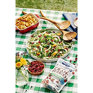 Ocean Spray® Craisins®, 50% Less Sugar Dried Cranberries, Dried Fruit, 5 Oz Pouch (Pack of 1)