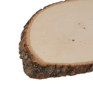 Walnut Hollow Medium Basswood Rustic Round Wood Slices with Live Edge Bark, Bulk Value Pack, 12-Pack