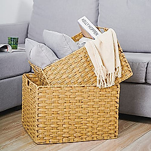 Wicker Baskets with Carrying Handles Foldable Handwoven Cube Storage Basket Bin Rectangular Open Storage Bins,Set of 2