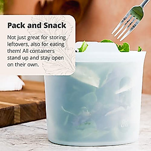 Greater Goods Reusable Silicone Containers for Food Storage, Freezer, Microwave, and Oven Safe Sandwich Containers, Designed in St. Louis (Complete Set of 4), Clear)