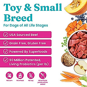 Solid Gold Mighty Mini Small Breed Dog Food - Dry Dog Food for Any Toy Breed - for Gut Health & Sensitive Stomach Support - Digestive Probiotics for Dogs - Grain & Gluten Free Recipe