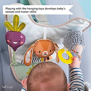 Taf Toys Infant Car Seat Development Center Newborn Baby Essentials Must Haves Toy, Car Seat Accessories Activity Center with Car Seat Mirror, for Newborn Toys 0 3 Months Brain Development