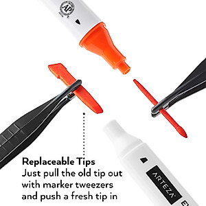 ARTEZA Alcohol Markers Set of 60 Colors, EverBlend Dual Tip Markers for Artists in 72-Slot Art Case, Fine and Broad Chisel Nib