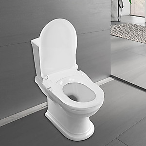RIAHNEAH Non-Electric Bidet Toilet Seat, Fits Elongated Toilets, White, Dual Nozzle System - Bidet with Easy Installation