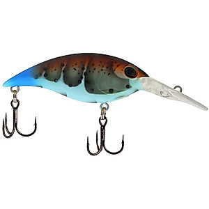 Berkley Money Badger Fishing Lure, Killer Craw, 1/3 oz, 2.5in | 6.25cm, Hybrid Baitfish-Crayfish Design, Patented FlashDisc Technology, Equipped with Sharp Fusion19 Hooks