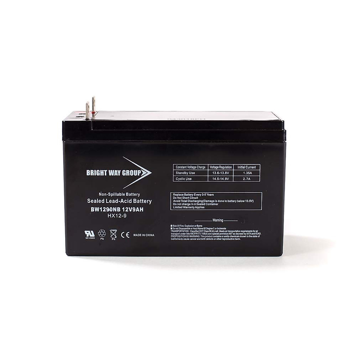 Bright Way Group 12V 9Ah Rechargeable SLA Battery Nut & Bolt Terminal | BW1290 NB Terminal | Generator Jump Starter Lawn & Garden