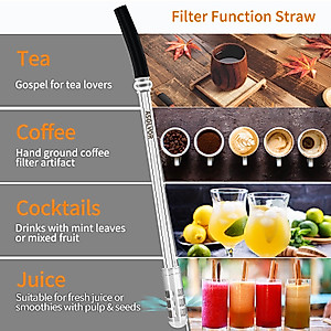 Reusable Straws Stainless Steel Straws Coffee Straw Filter Function Straw 7.6" Drinking Straw with Traveling Bags Easy to Carry & Clean for Tea, Coffee, Cocktails, Juice