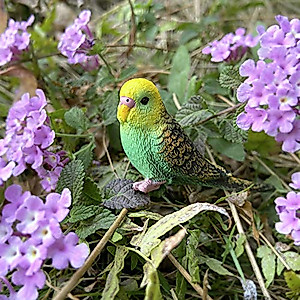 AUEAR, 4 Pack Bird Decorative Figurines, Mini Cute Fake Parrot Bird Parakeet Animal Model Toys Home Decor Garden Cake Decoration