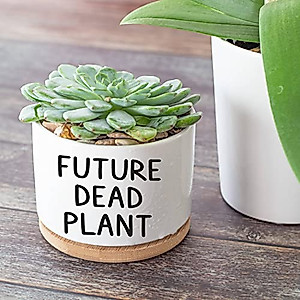 JENVIO Future Dead Plant | Ceramic Succulent Pot Plant | Cool Birthday Christmas Planter Stuff | Unique Gift | Home Kitchen Office Decor 3.6 Inch (Plant Not Included)