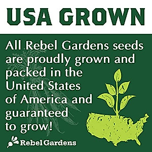 Organic Vegetable Seeds for Planting - 13 Varieties of Non GMO, Non Hybrid, Heirloom Seeds, Open Pollinated Home Garden Seeds - Tomatoes, Kale, Carrots, Broccoli, Arugula, and More