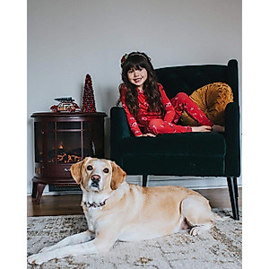 e-Flame USA Regal Freestanding Electric Fireplace Stove - 3-D Log and Fire Effect (Red)