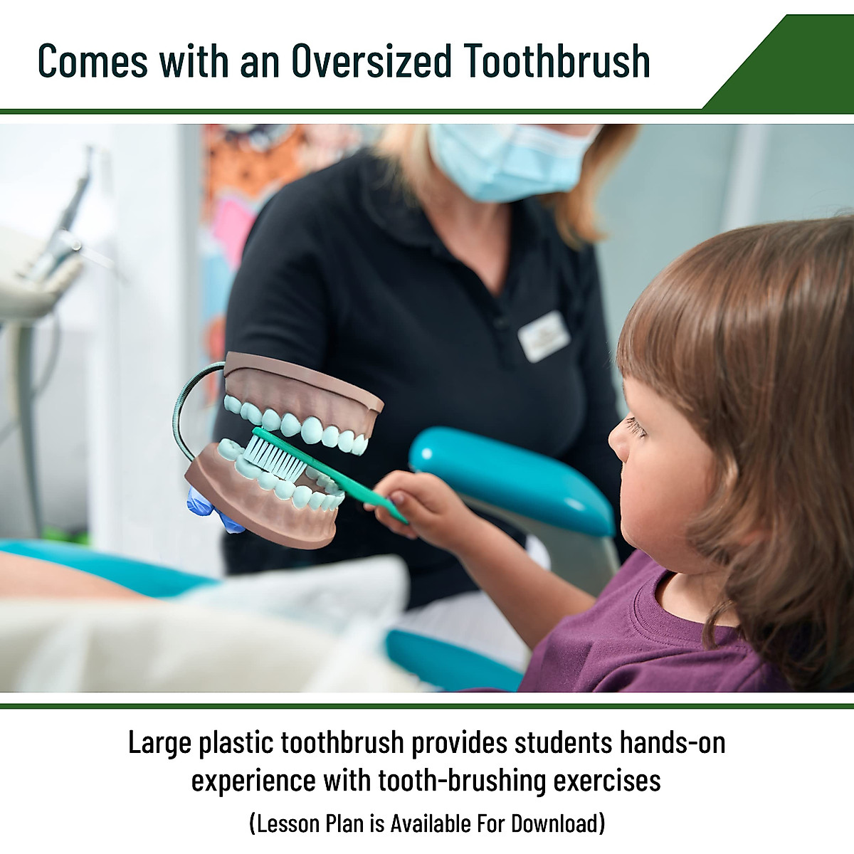 Ajax Scientific - Dental Care Mouth Model, Fake Teeth, Dental Hygiene Toy - with Giant Toothbrush - Plastic - 6 x 4.5 x 5 inches