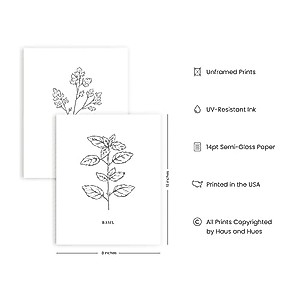 HAUS AND HUES Kitchen Herbs Wall Art Decor for Kitchen Herb Art Prints and Kitchen Signs Wall Decor | Herb Prints Kitchen Wall Art Kitchen Prints for Wall Herb Decor (8"X10" UNFRAMED)
