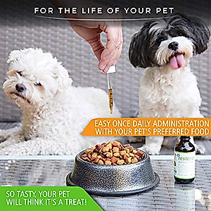 RestoraPet 1-Pack Dog & Cat Unflavored Liquid Multivitamin | Dog Arthritis Pain Relief | Hip&Joint Vitamins for Dogs | Anti Inflammatory Supplement for Dogs & Cats | Organic & Non-GMO, Vet Approved
