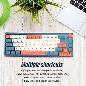 Laihua Mechanical Gaming Keyboard, PBT XDA LK67 Keycaps Stylish 5.0 Wired Multifunction Home Gaming Keyboard for Daily Use (Blue Switch)