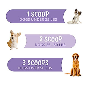 Under The Weather Calming Powder for Dogs | Vet Formulated All-Natural Calming Supplement for Dogs | Help Reduce Stress & Anxiety for Dogs | 120 Servings