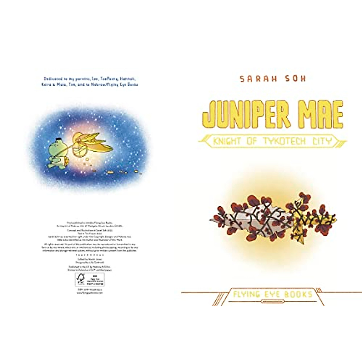 Juniper Mae: Knight of Tykotech City (Juniper Mae: Knight of Tykotech City, 1)