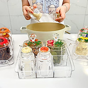 Bestfull Spice Container 5 PCS Sealed Containers with Handle Lids and Tray, Seasoning Containers Square-shaped for Spice, Salt, Sugar, Kitchen Storage and Countertop Use with Random Flower