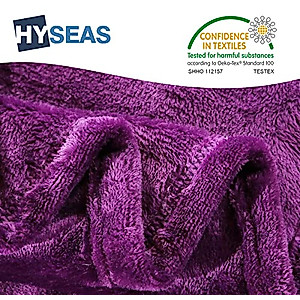 HYSEAS Flannel Fleece Throw Blanket Purple - Super Soft Plush Microfiber Solid Blanket for Couch, Bed, Chair, Sofa - Fuzzy Cozy Lightweight - 50x60 Inch