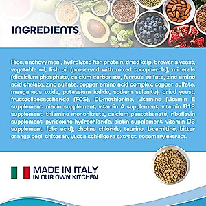 Forza10 Active Dry Weight Control Cat Food for Adult Cats, Dry Cat Food Weight Control for Overweight Cats and with Metabolism Disorders, Wild Caught Anchovy Flavor, 1 Pound Bag