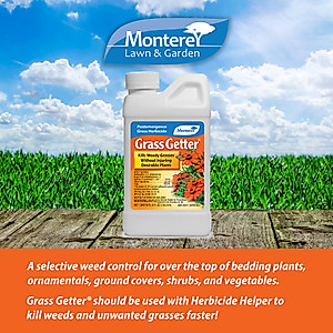 Monterey - Grass Getter - Selective Post Emergent Herbicide - Kills Weedy Grasses, Sethoxydim Herbicide - Apply Using Sprayer - 8oz Concentrate