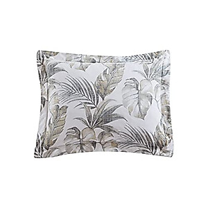 Tommy Bahama - Queen Comforter Set, Reversible Cotton Bedding with Matching Shams, Medium Weight Home Decor for All Seasons (Waimea Bay Green, Queen)